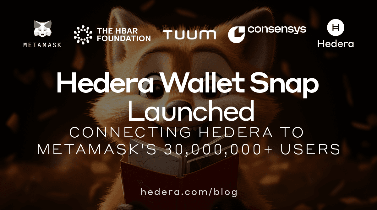 Hedera Wallet Snap goes live, connecting the Hedera network with ...