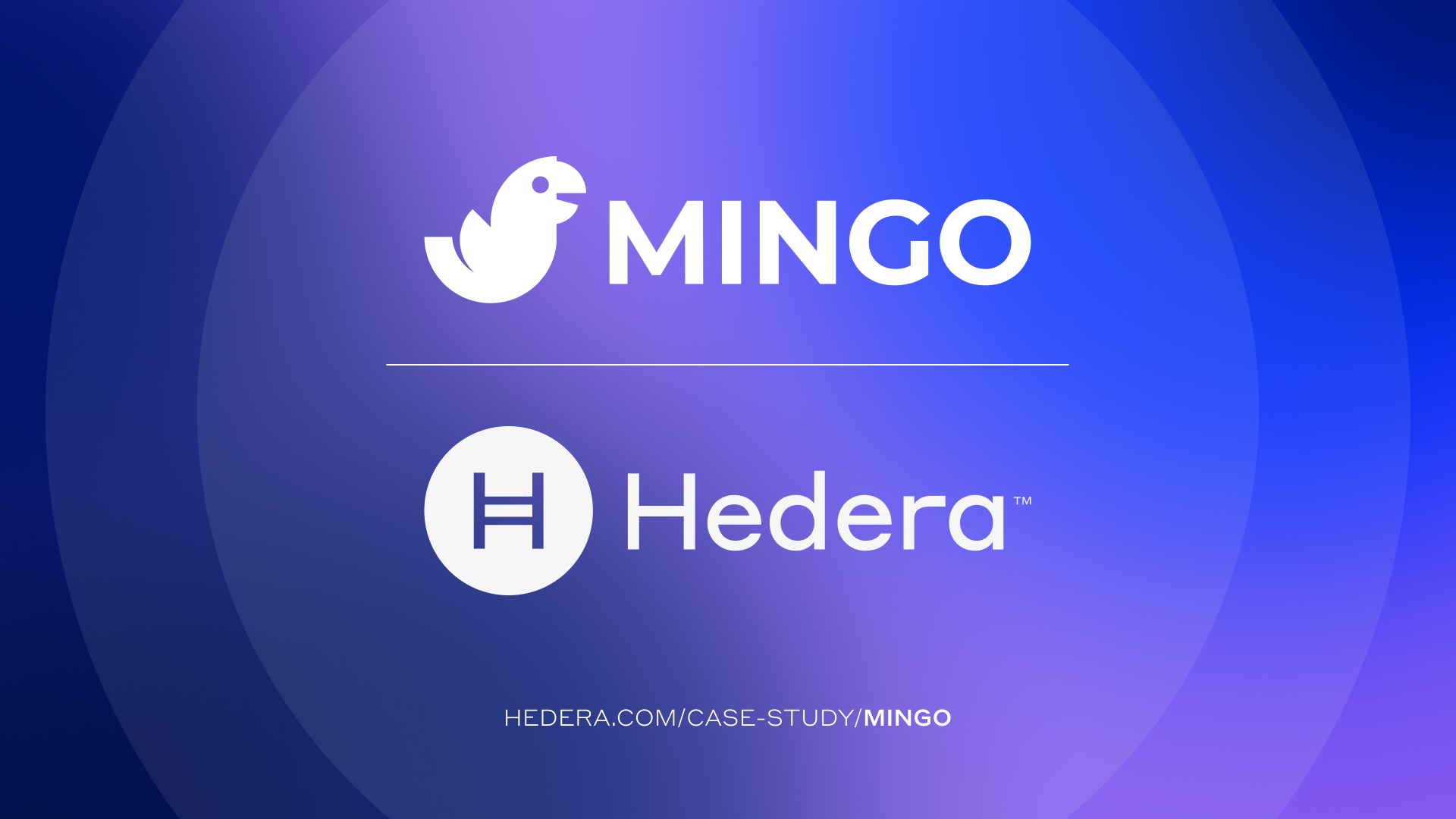 Mingo | Hedera